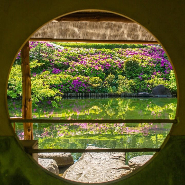 HAPPO-EN｜Official website