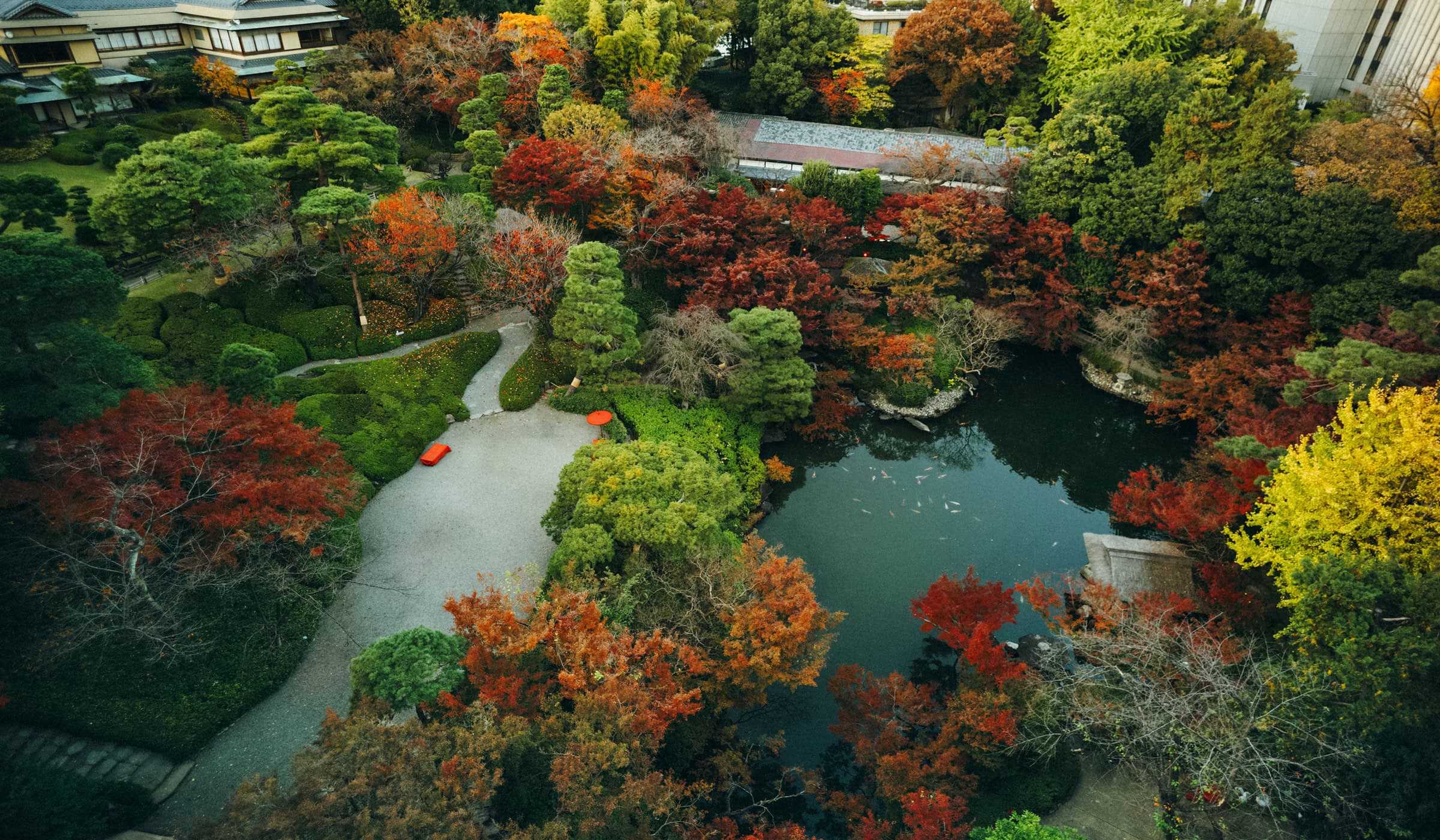 HAPPO-EN｜Official website