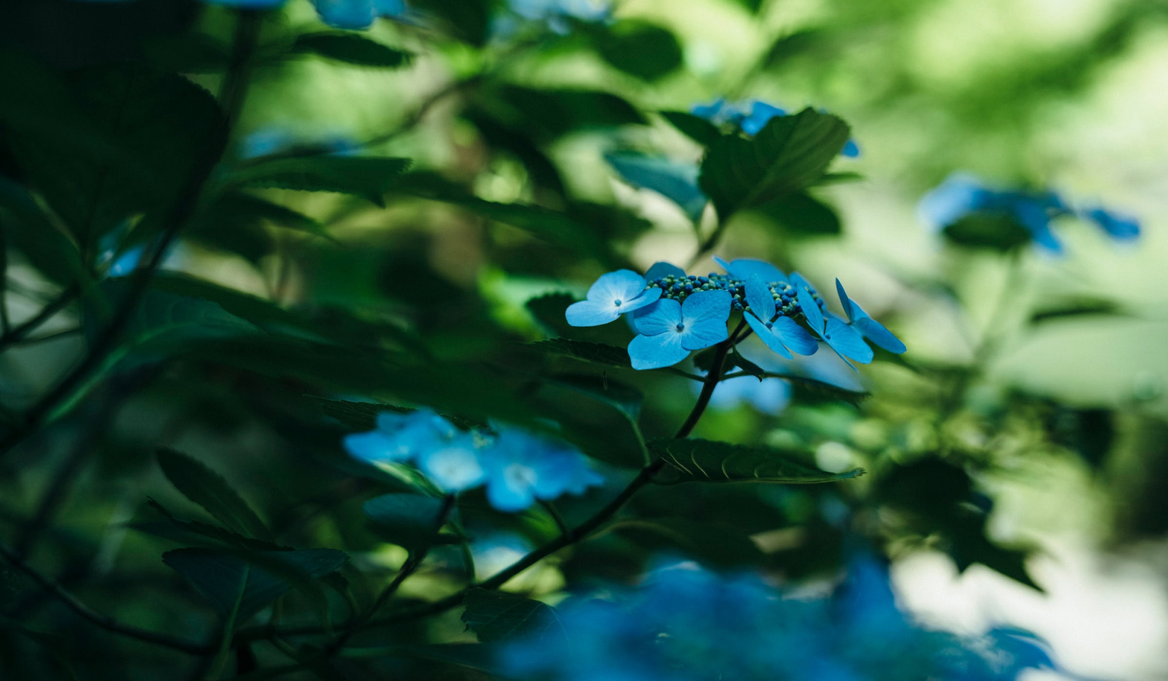 HAPPO-EN｜Official website