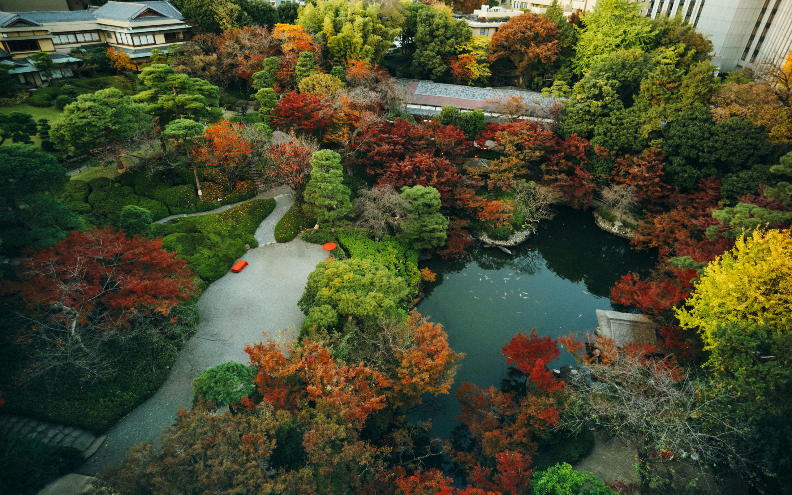 HAPPO-EN｜Official website